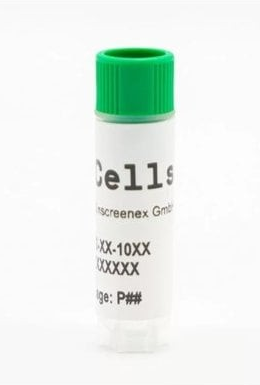 INS-CI-1015 - CI-hAELVi Immortalized Human Alveolar Epithelial Cells